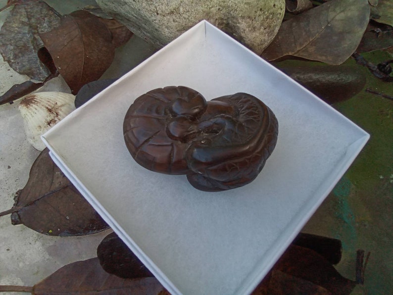 19th Century Katabori Netsuke Fine Quality Japanese Tsuge Netsuke ...