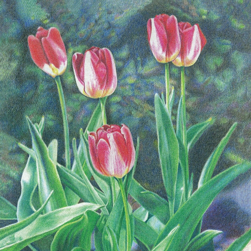 Flower Drawing - Etsy