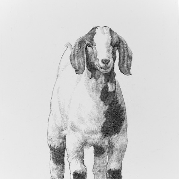 Goat Print - Etsy
