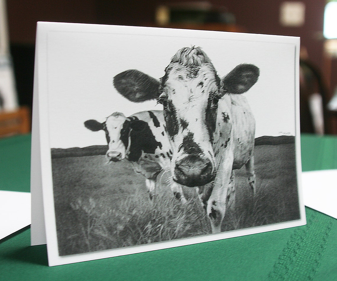 Cow Pencil Drawing Greeting Card Farm Animal Card Cow Art - Etsy