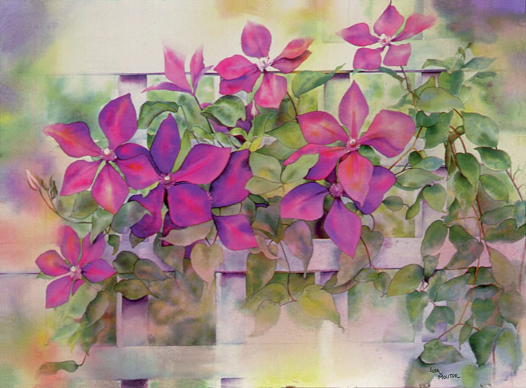 Clematis Painting Print, Clematis Watercolor, Clematis Art Print ...