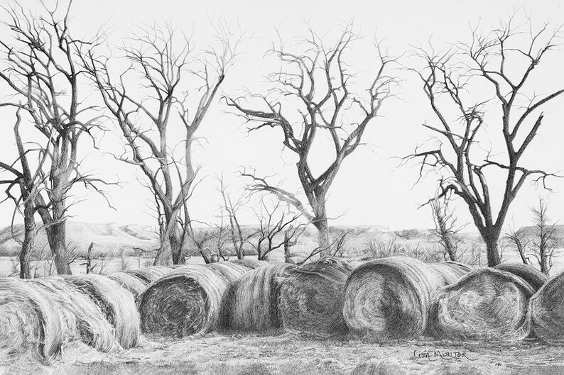 Tree Drawing, Hay Bale Drawing, Tree Art Print, Farm Hay Bales, Hay ...
