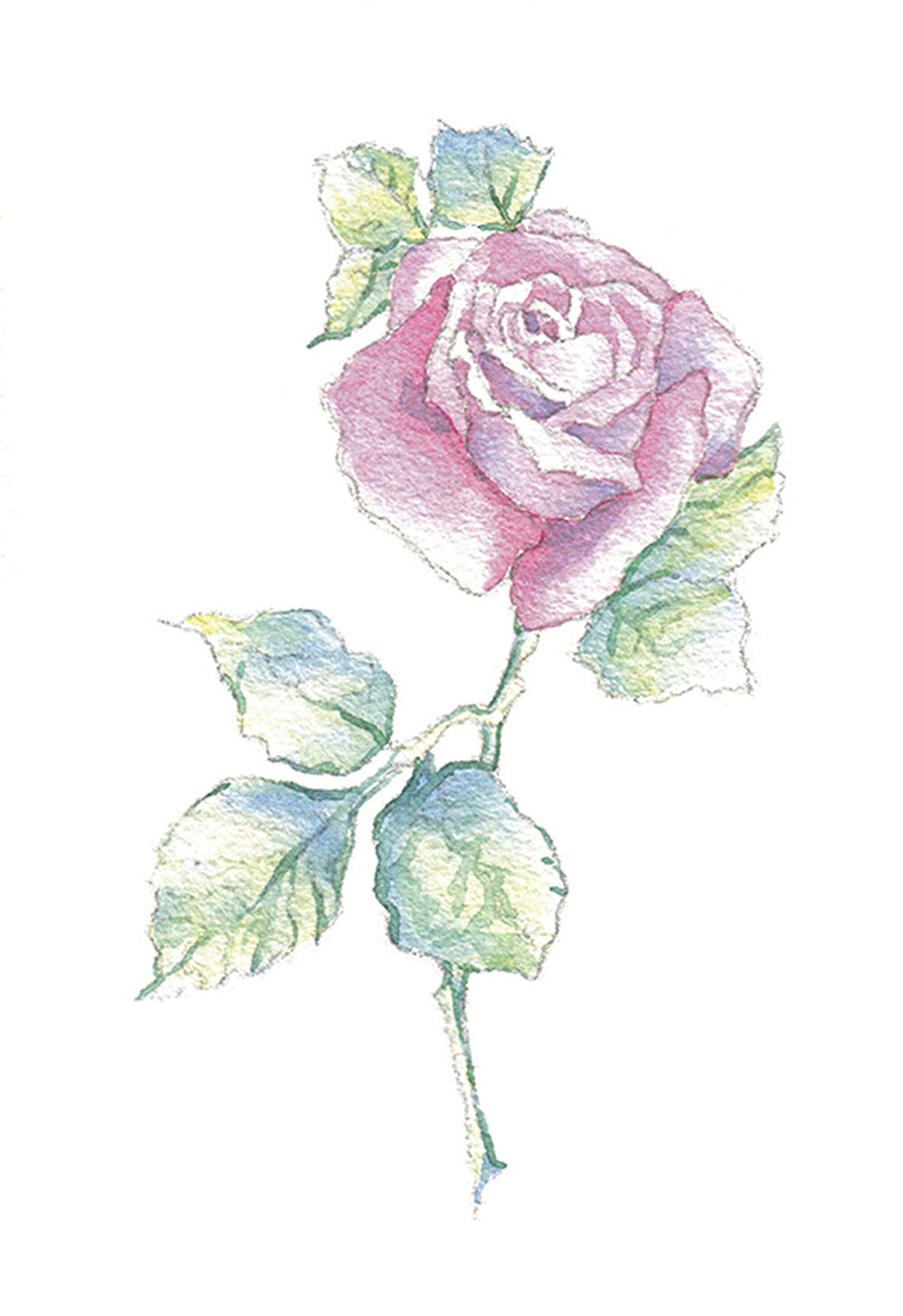 Rose Painting Print, Rose Art Print, Rose Watercolor, Rose Painting ...