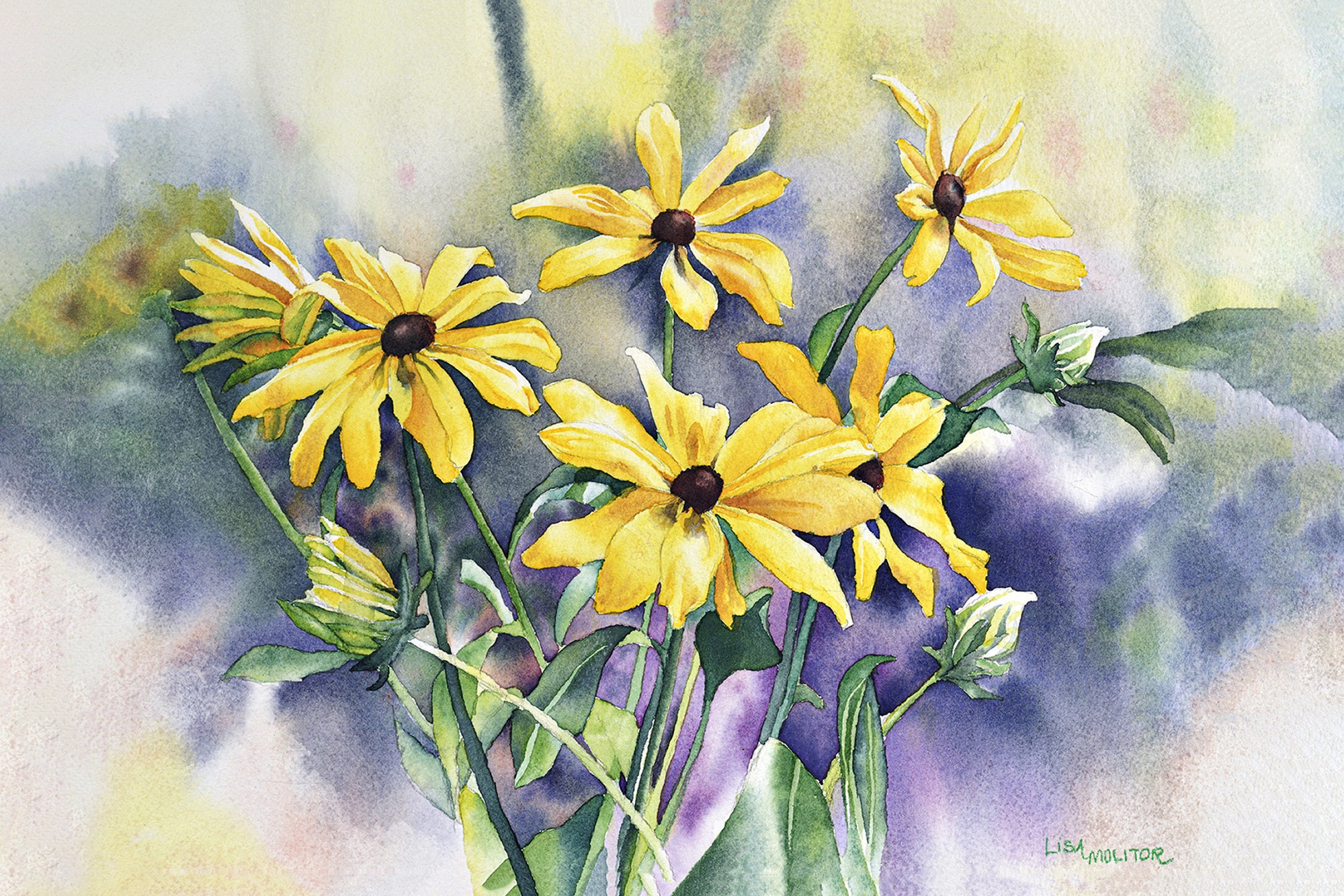 Black-eyed Susan, Black-eyed Susan Painting, Blackeyed Susan Art Print ...