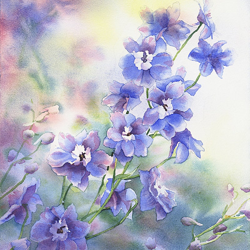 Blue Delphinium - Etsy