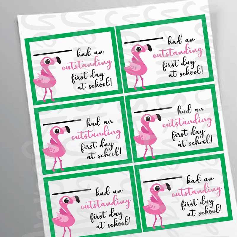 Flamingo Classroom - Etsy