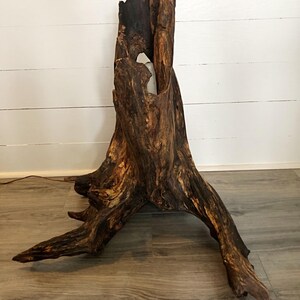 Natural Tree Root Floor Lamp, Hollowed Tree Root Lamp. Felled Wood Lamp ...
