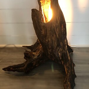 Natural Tree Root Floor Lamp, Hollowed Tree Root Lamp. Felled Wood Lamp ...
