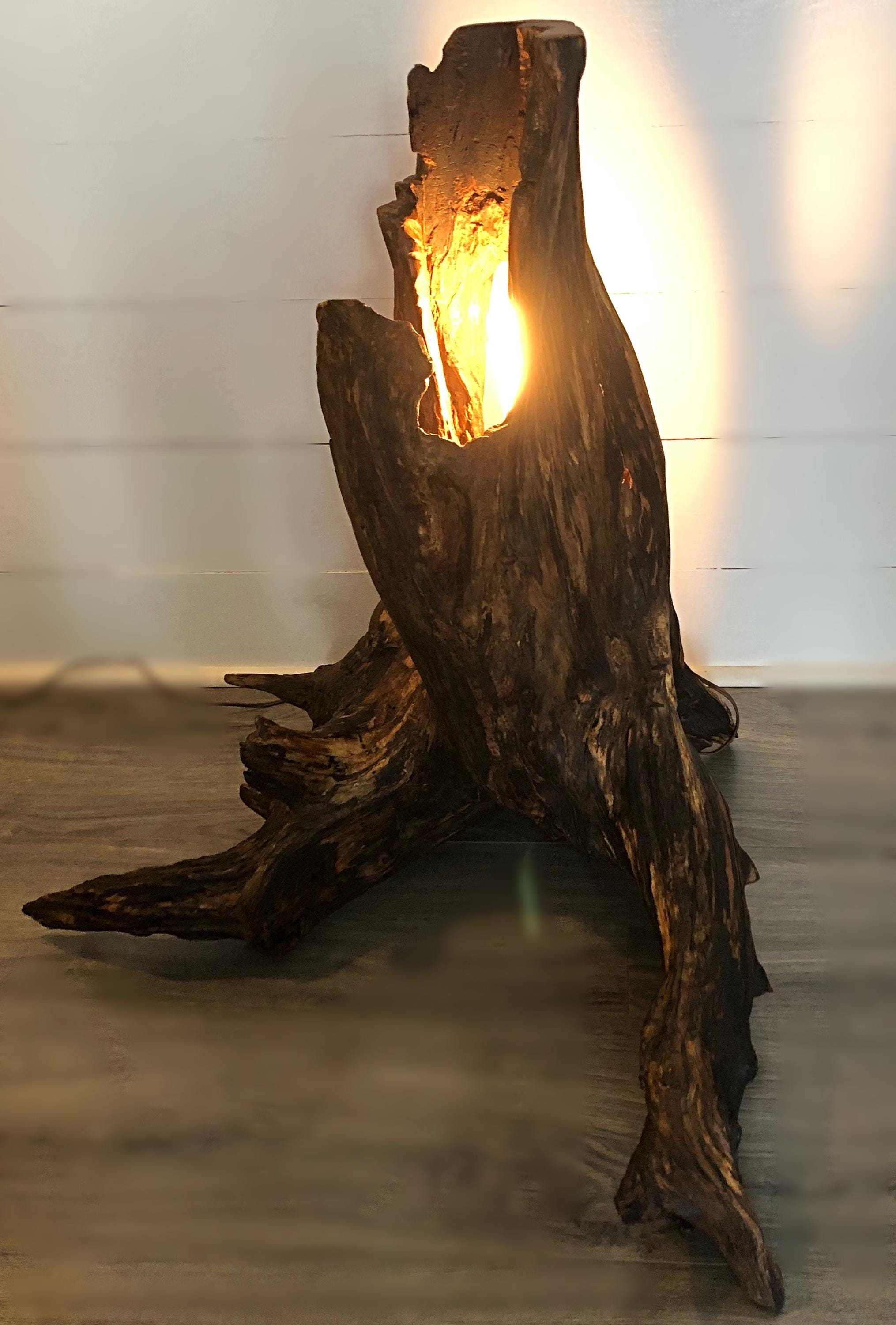 Natural Tree Root Floor Lamp, Hollowed Tree Root Lamp. Felled Wood Lamp ...