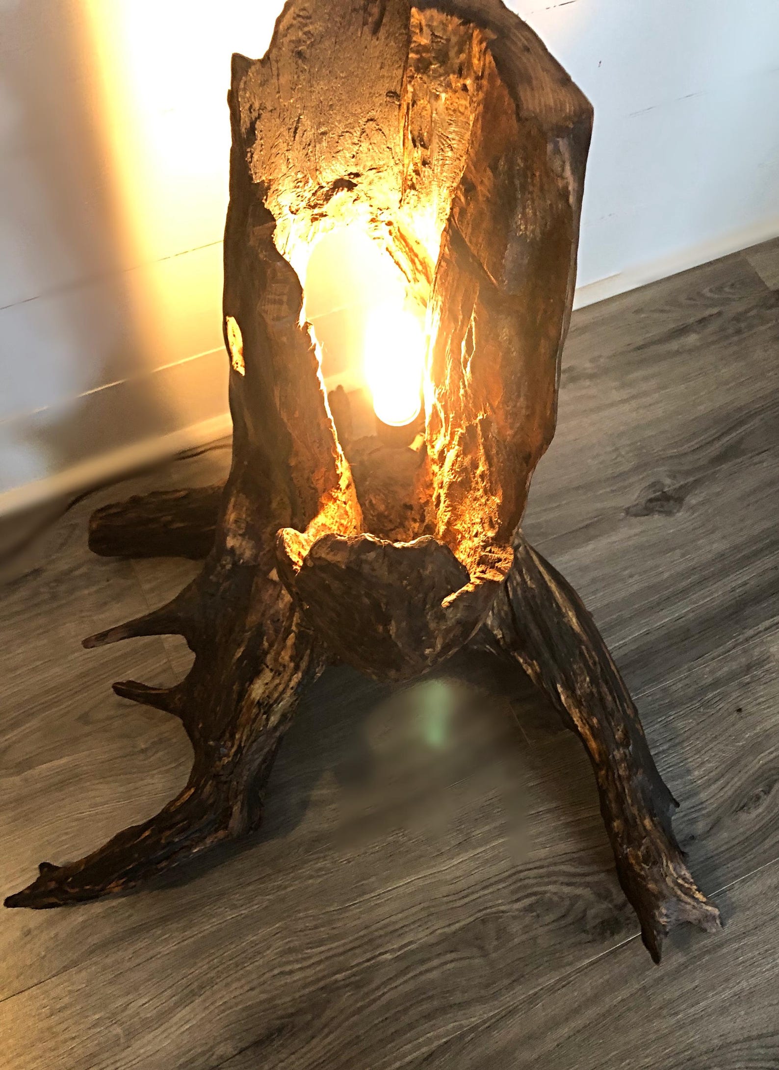 Natural Tree Root Floor Lamp, Hollowed Tree Root Lamp. Felled Wood Lamp ...