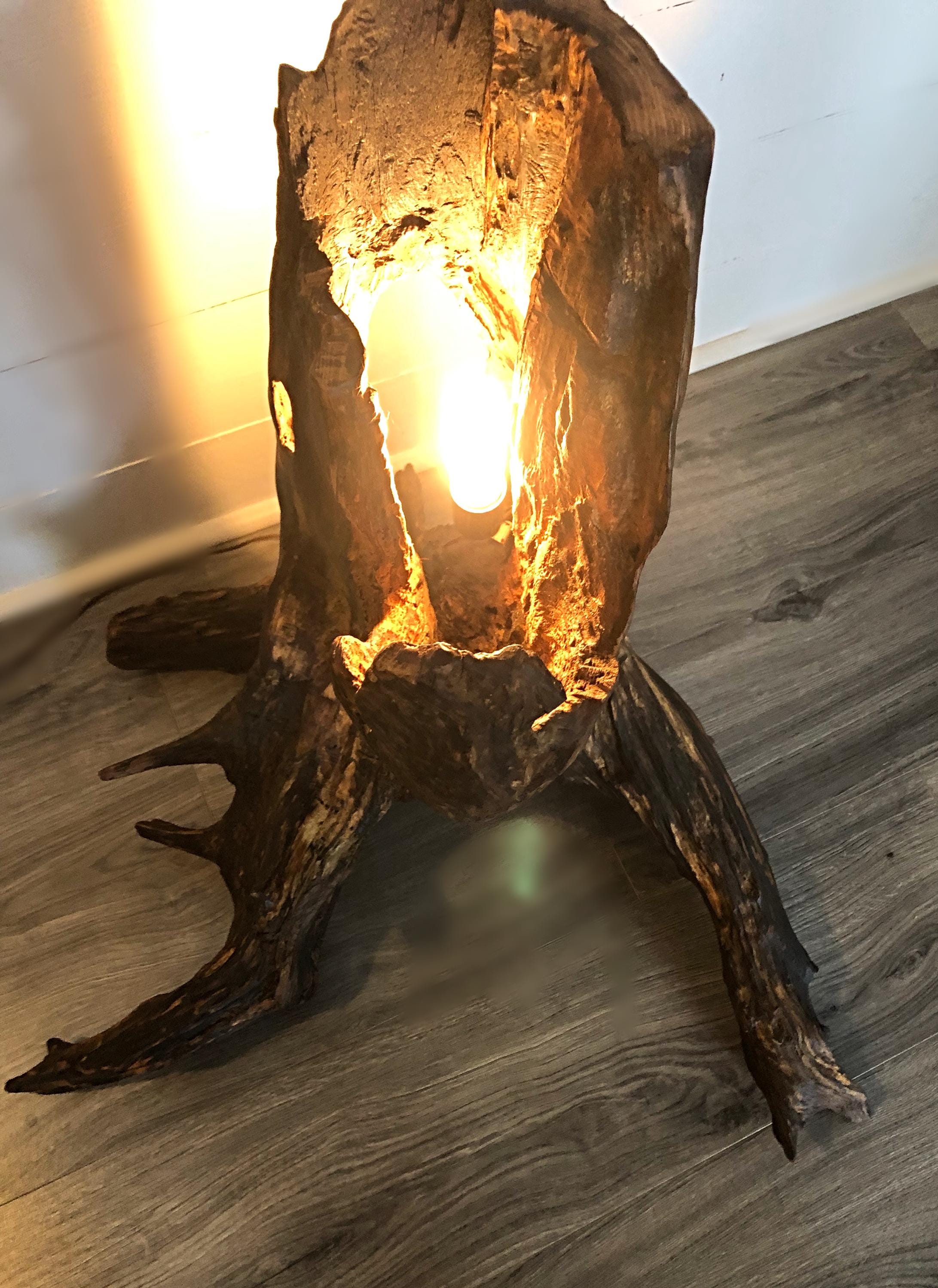 Natural Tree Root Floor Lamp, Hollowed Tree Root Lamp. Felled Wood Lamp ...