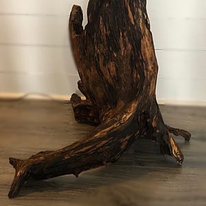 Natural Tree Root Floor Lamp, Hollowed Tree Root Lamp. Felled Wood Lamp ...