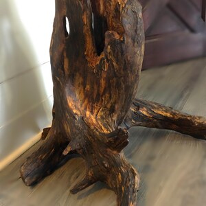 Natural Tree Root Floor Lamp, Hollowed Tree Root Lamp. Felled Wood Lamp ...