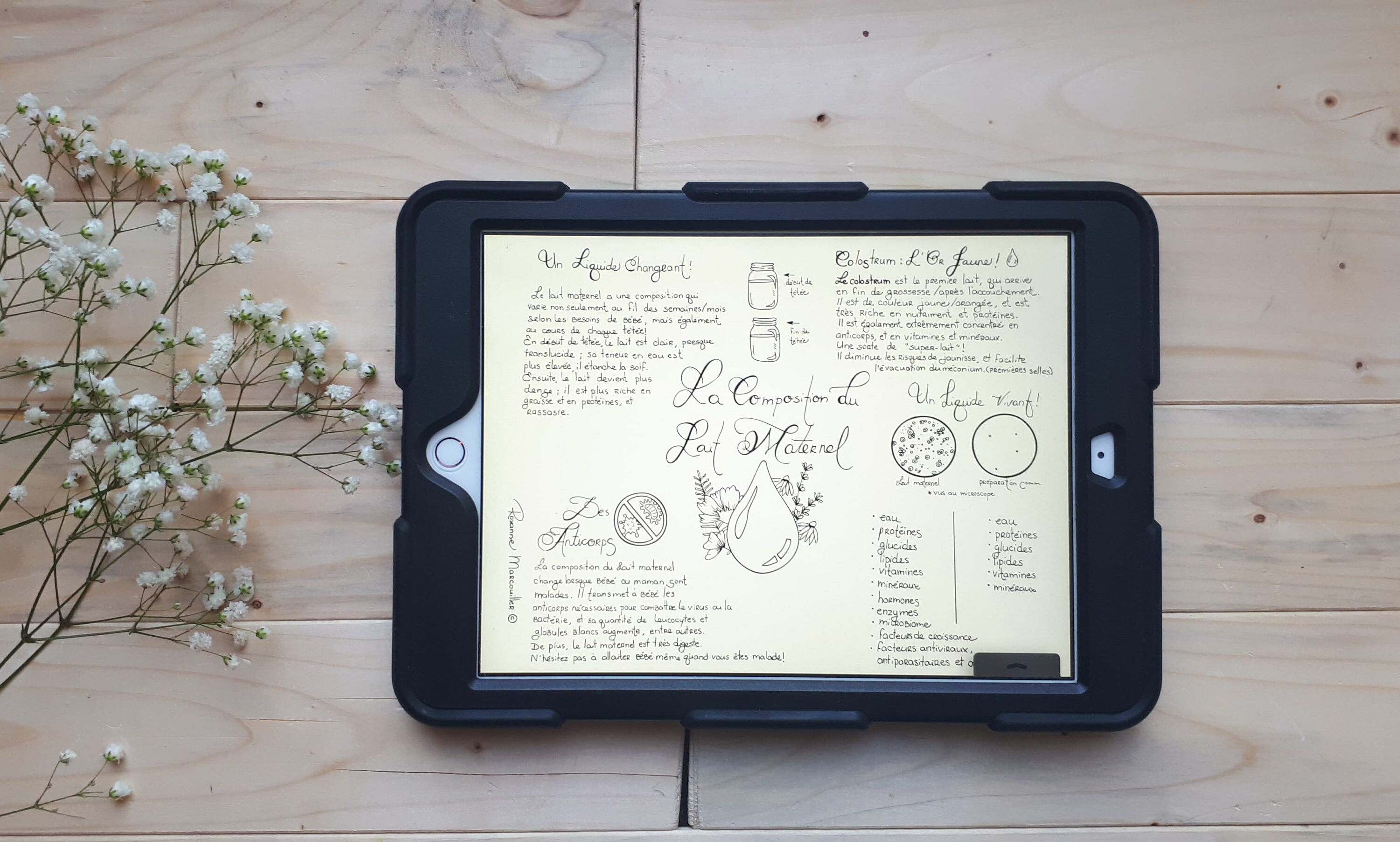 DIGITAL Breastmilk Composition, Coloring Birth Illustration ...