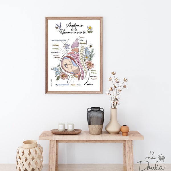 Yoga Anatomy Poster - Etsy