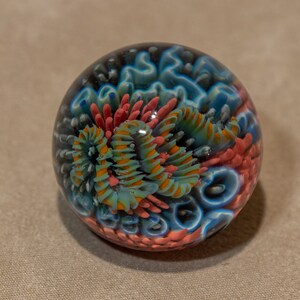 Coral Reef Marble Set Slurper Set Mini Marbles Glass Pearls Pillar Sea ...