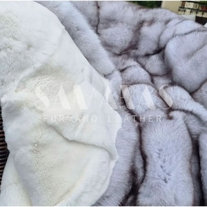 DOUBLE FACE Saga BLUE Fox One Side and White Rex From the Other,fox and ...