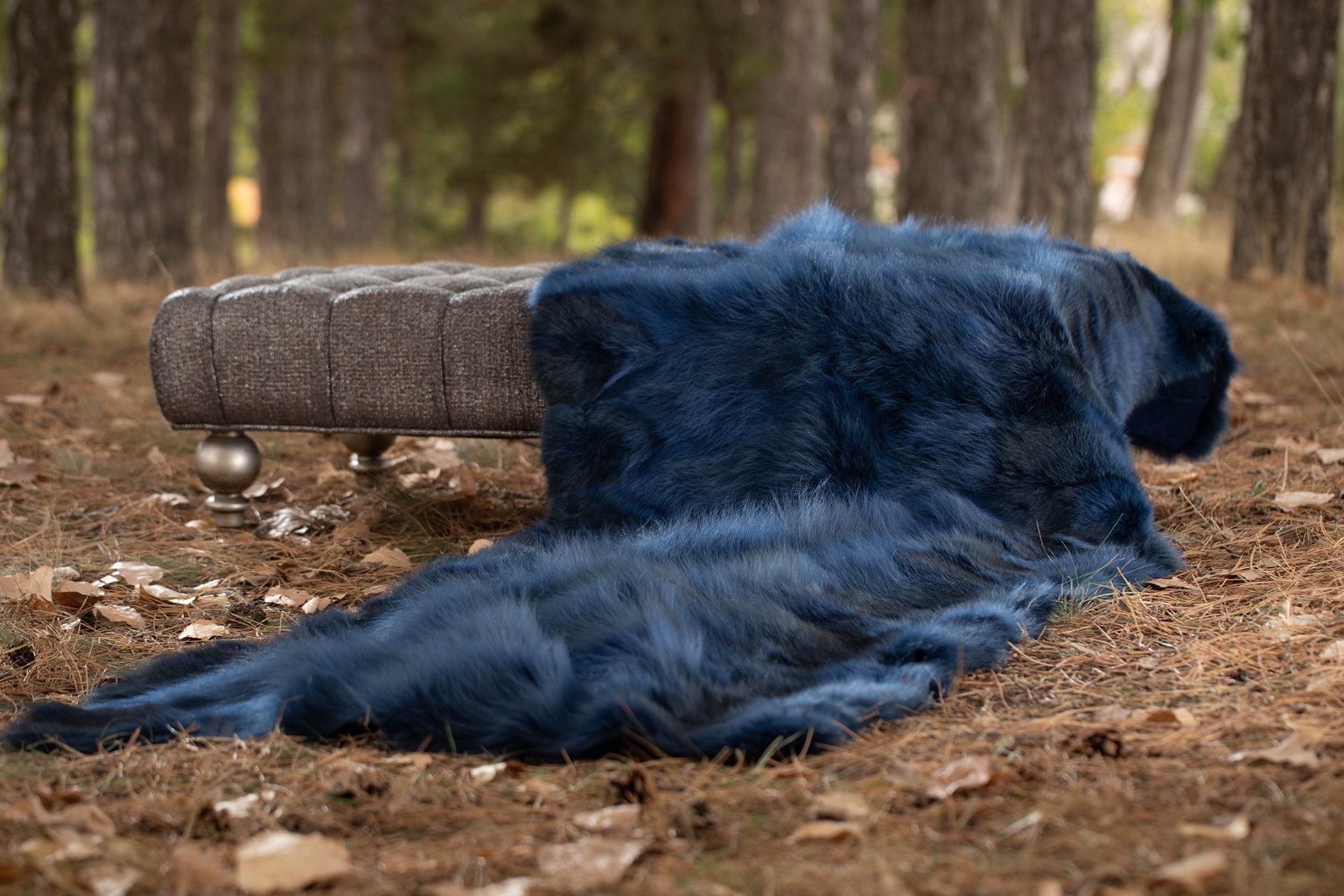 Real COYOTE Fur Throw Fur Warmer Fur Comforter Fur Rug - Etsy