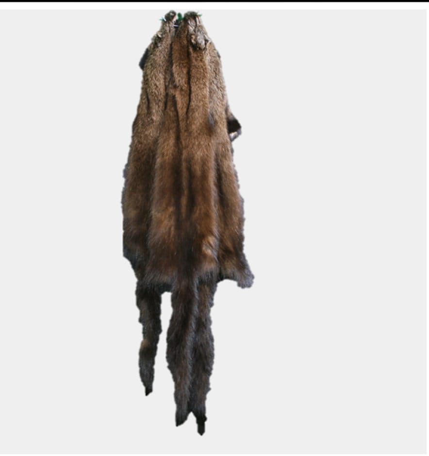 Genuine Luxury Full Skin REAL FISHER FUR Throwfur | Etsy