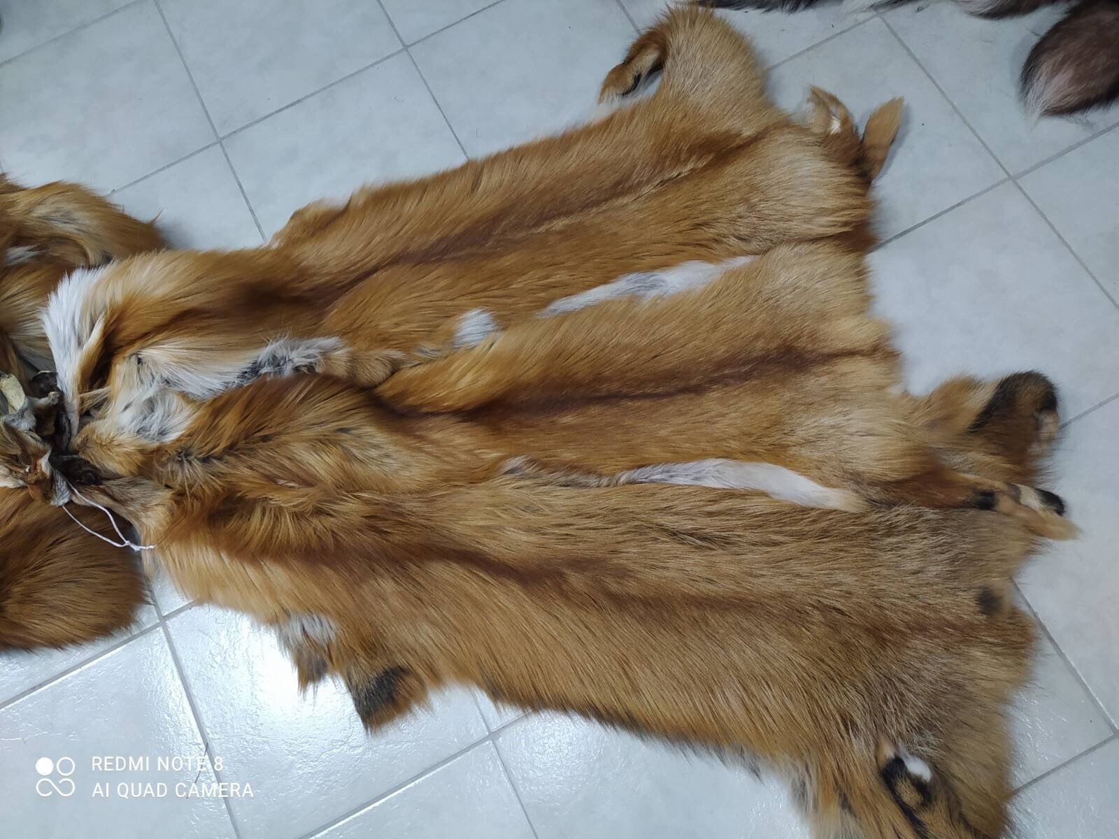 Real Full Skin Fox Fur Throwfur Blanketfox Blanket Fox Fur - Etsy
