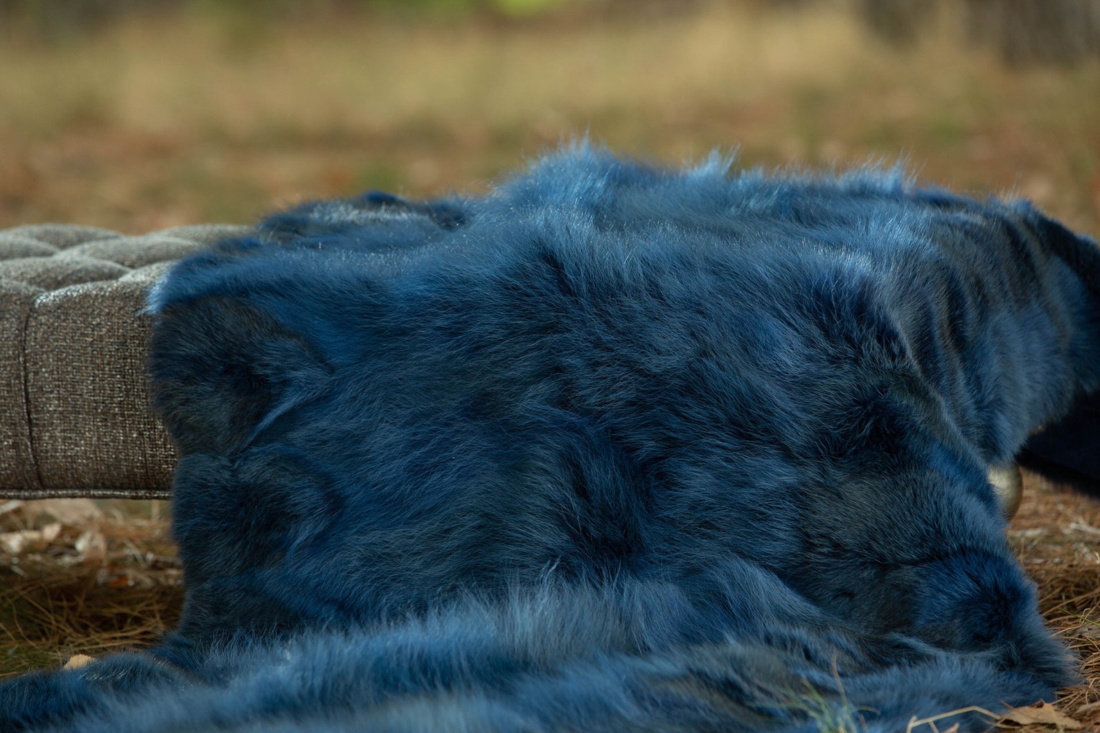 Real COYOTE Fur Throw Fur Warmer Fur Comforter Fur Rug - Etsy