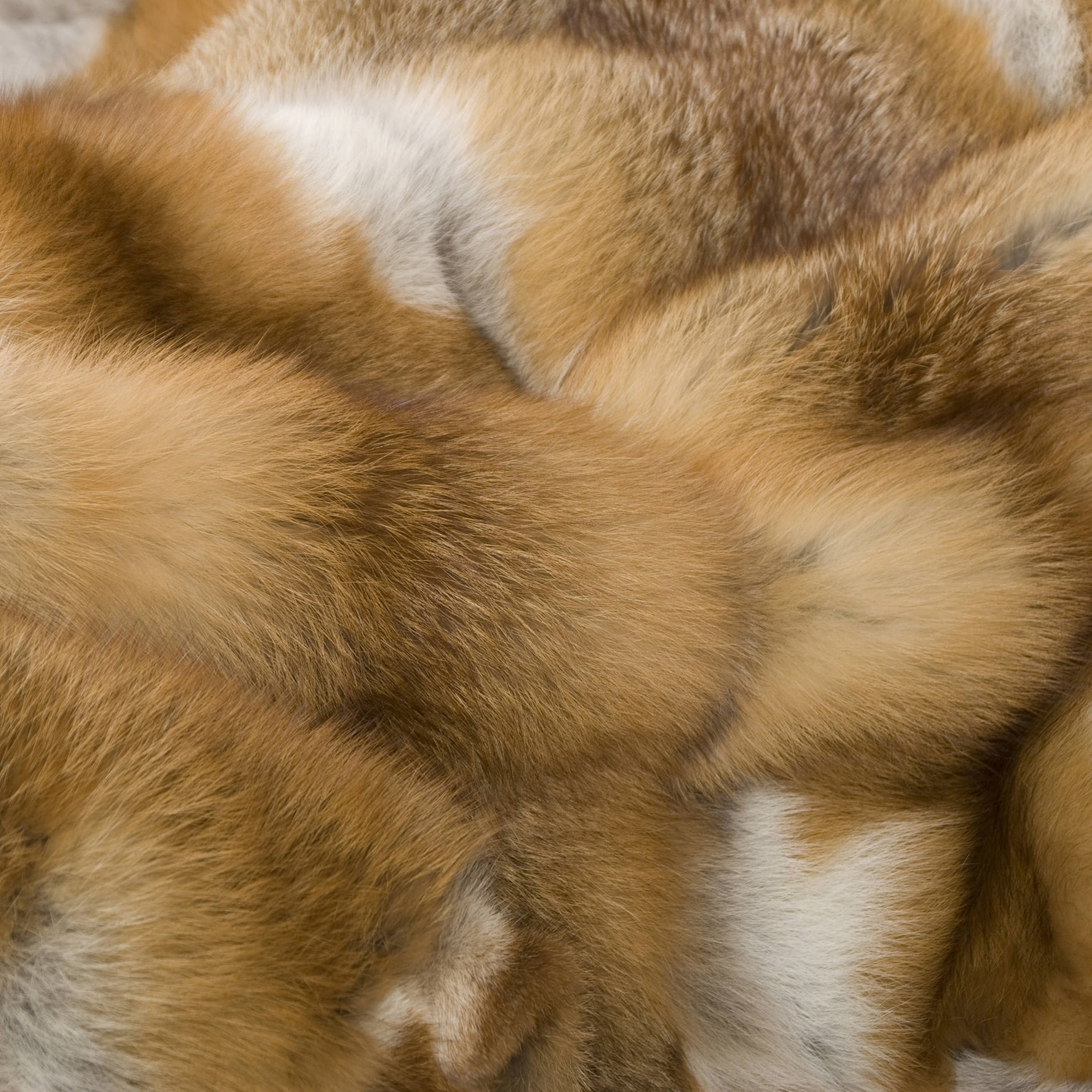 Full Skin REAL FOX FUR Throw/blanket Luxury Cashmere Style - Etsy