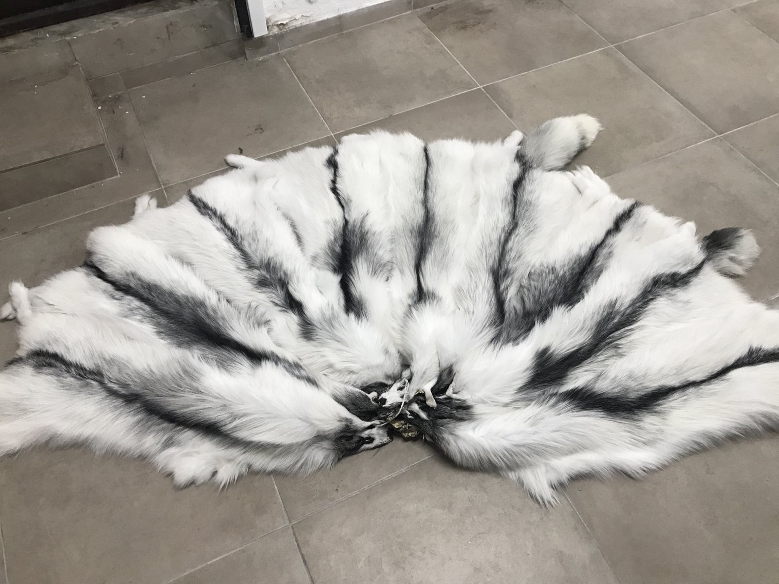 Double Side Blue Fox Fur Costume With Whole Skinsfur - Etsy