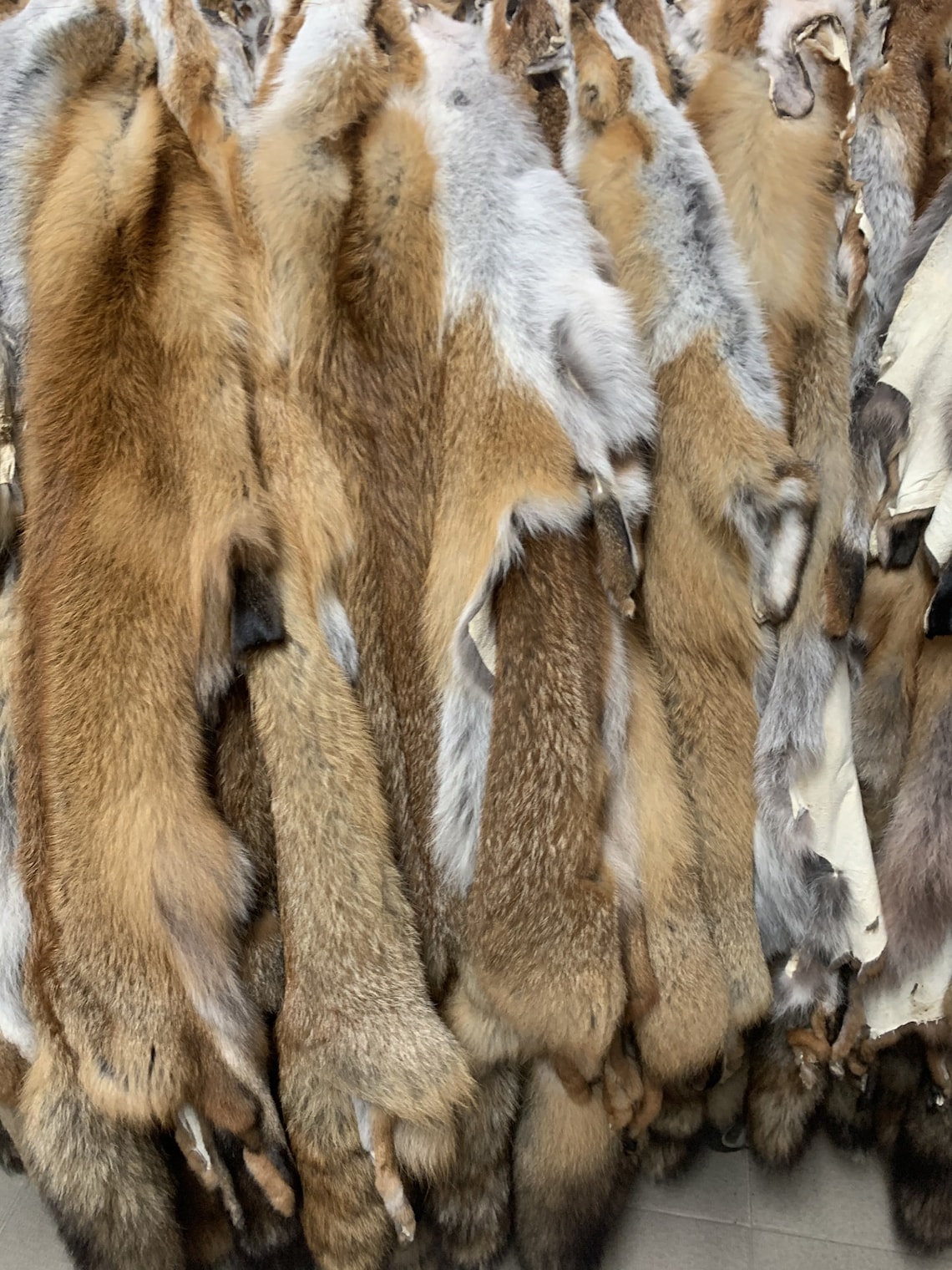 Full Skin REAL FOX FUR Throw/blanket Luxury Cashmere Style - Etsy