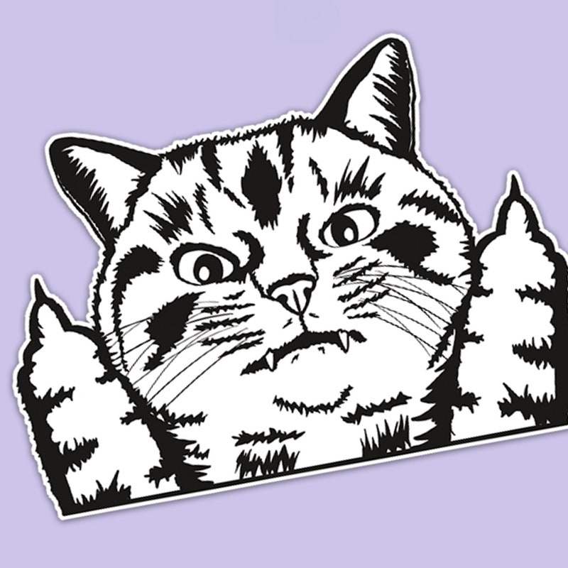 Middle Finger Cat - Etsy