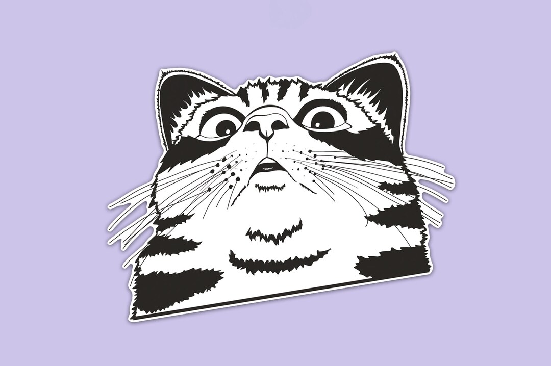 Surprised Cat Peeker Sticker: Waterproof Vinyl Decal - Etsy