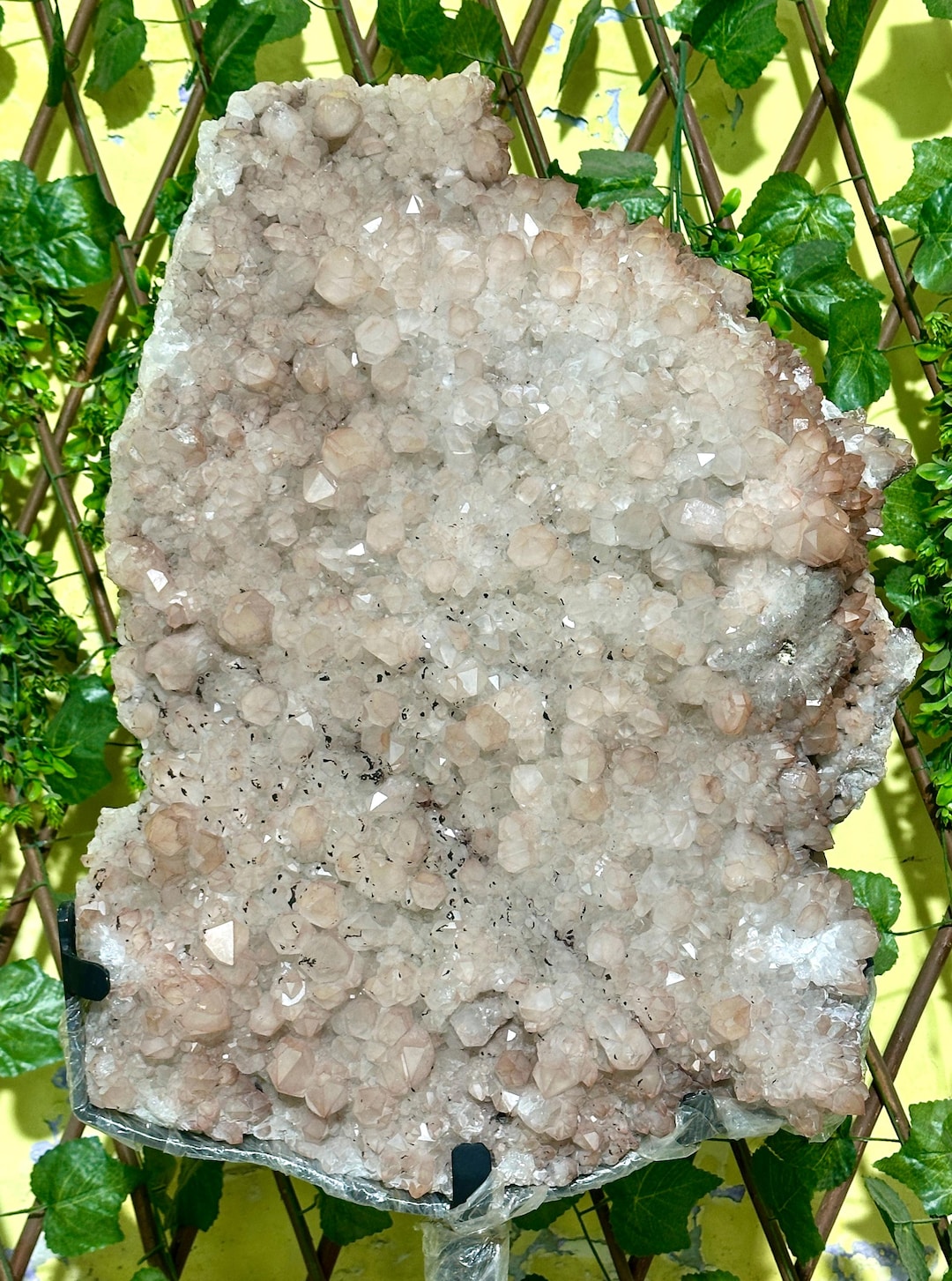 AAA+ MASSIVE Himalayan Clear Pink Quartz Crystal Cluster : Natural Raw ...