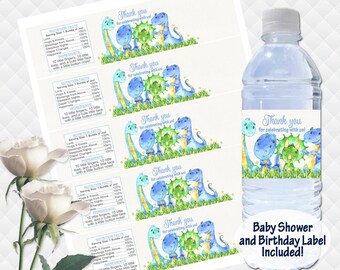 EDITABLE Dinosaur Bottle Label T-rex Dinosaur Water Labels - Etsy