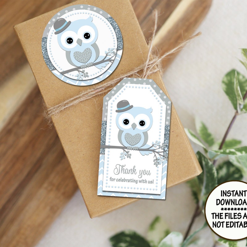 Owl Cupcake Toppers - Etsy