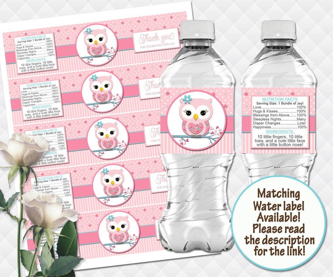 Owl Baby Shower Welcome Sign Pink Owl Welcome Poster - Etsy