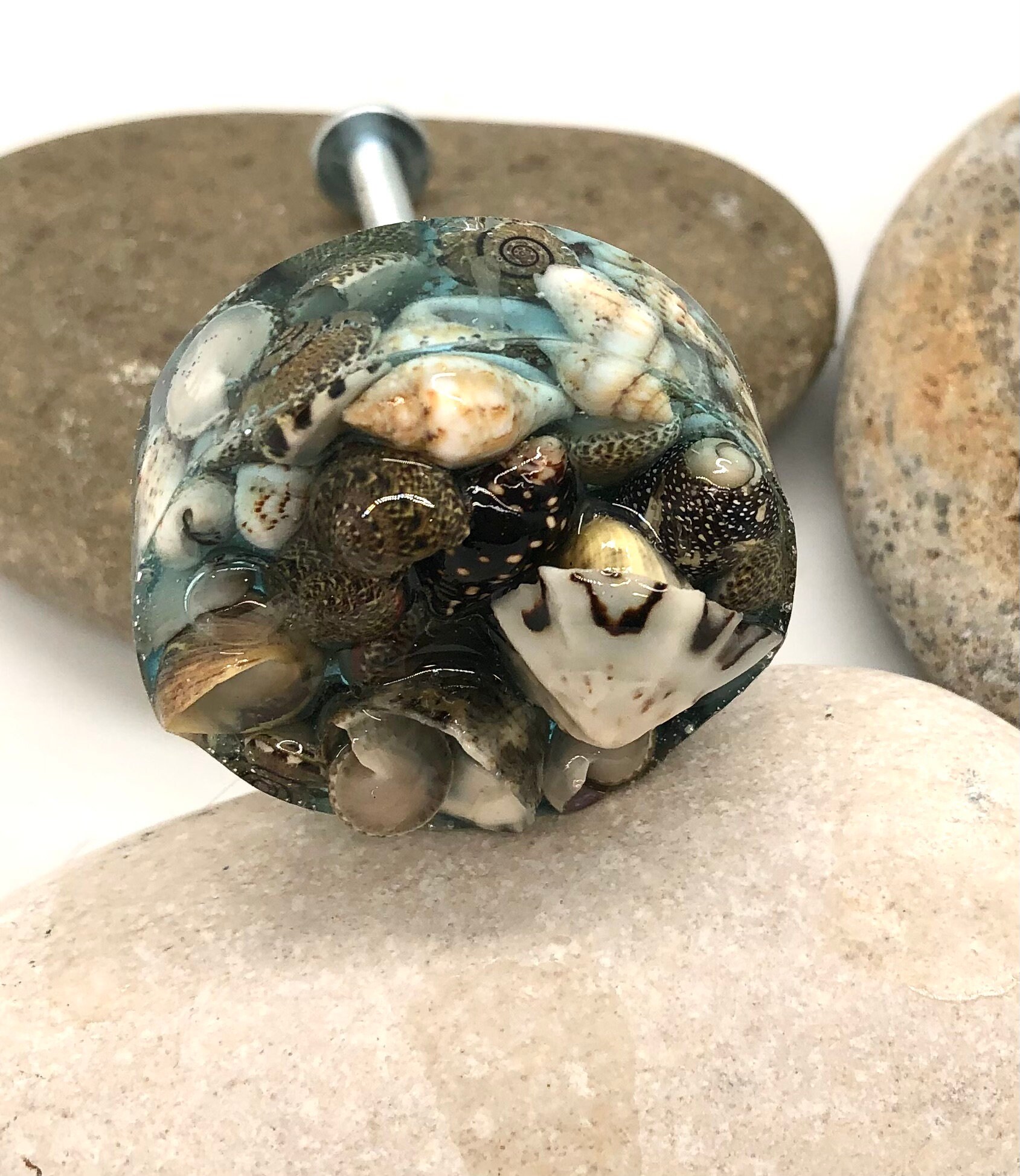 Tiny Sea Shells Resin Knobs Shell Knobs Sea Shell Knobs - Etsy
