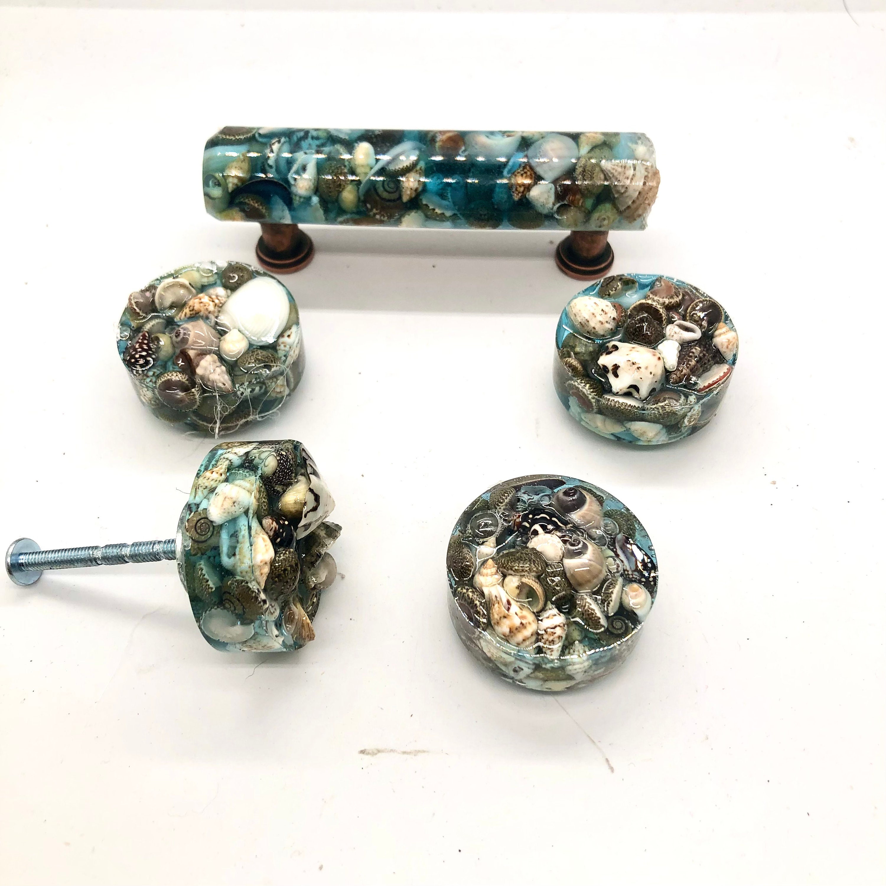 Tiny Sea Shells Resin Knobs Shell Knobs Sea Shell Knobs - Etsy