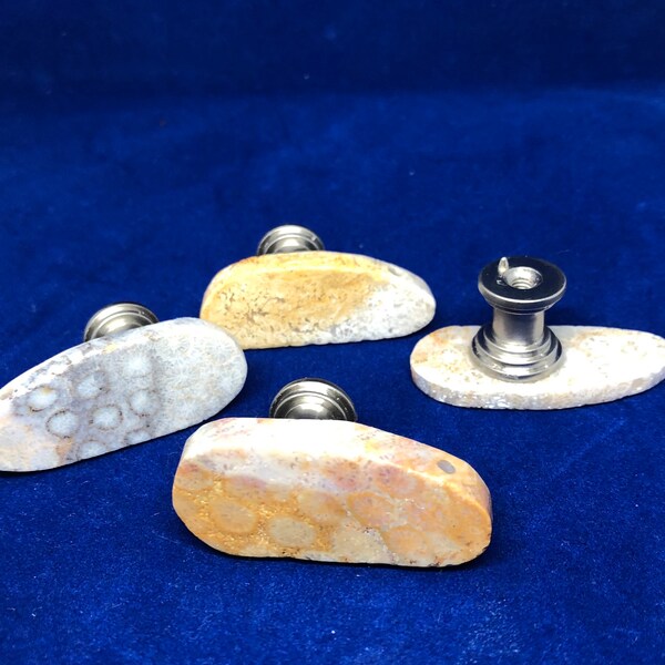 Nautical Knobs - Etsy