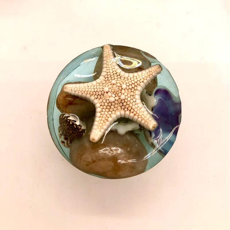Starfish Knobs - Etsy