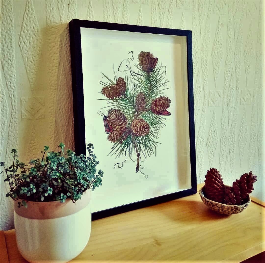 Cinnabar Moth - Insect Illustration - A3 Giclée Print - Etsy