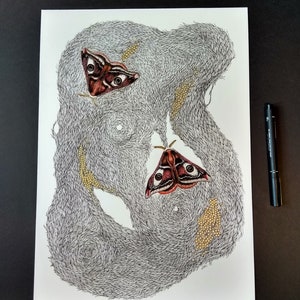 Emperor Moth - Insect Illustration - A3 Giclée Print - Etsy