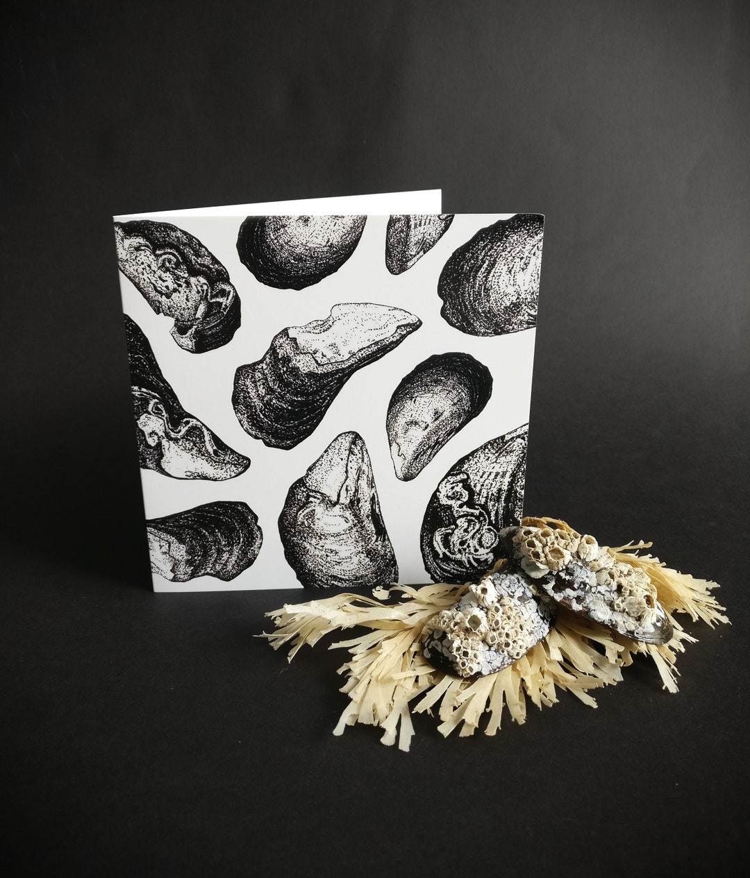 Black Mussel Shell Card - Square Greetings Card - Blank Card - Etsy