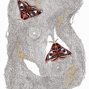 Emperor Moth - Insect Illustration - A3 Giclée Print - Etsy