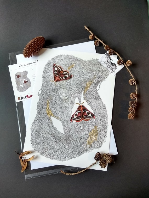 Emperor Moth Insect Illustration A3 Giclée Print | Etsy