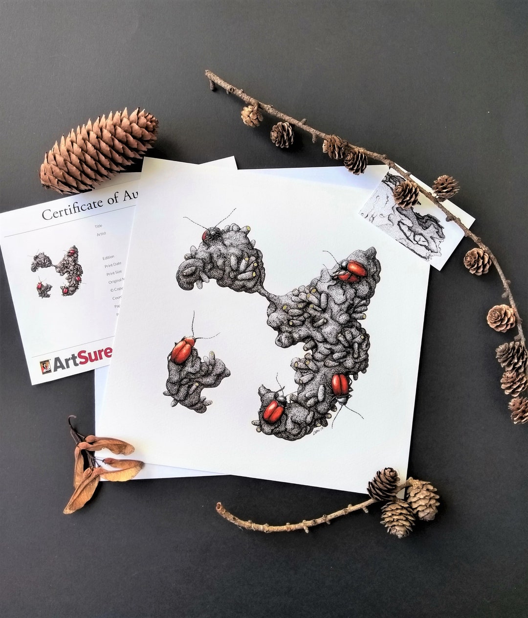 Hazel Pot Beetle - Insect Illustration - 10x10 Inches Giclée Print - Etsy