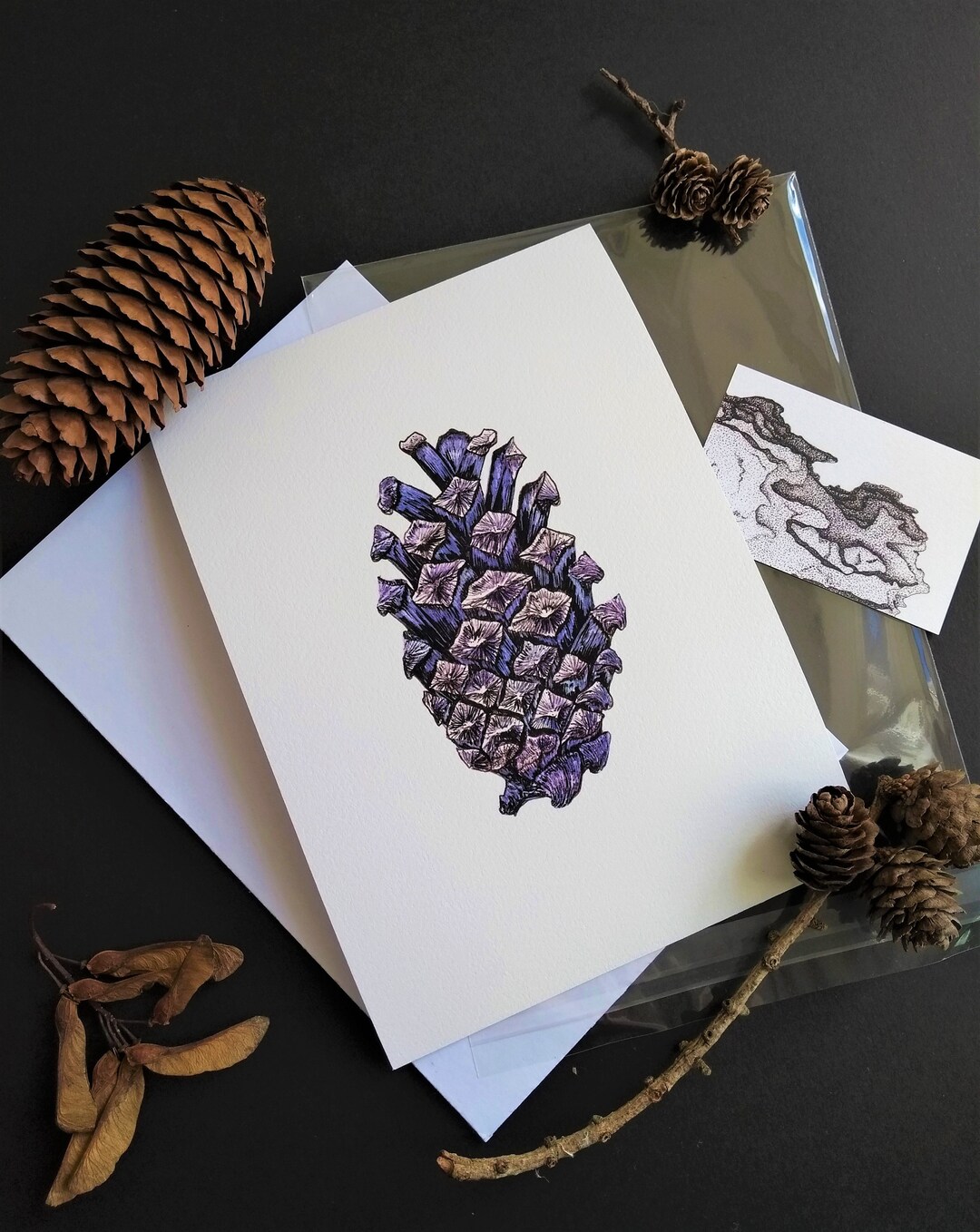 Pine Cone Illustration II - Botanical Drawing - A5 Giclée Print - Etsy