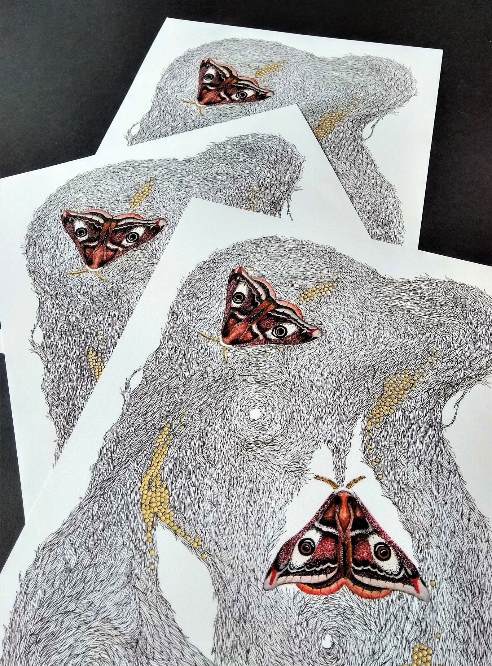 Emperor Moth Insect Illustration A3 Giclée Print - Etsy