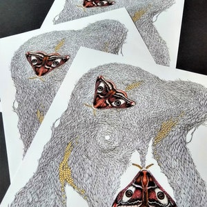 Emperor Moth - Insect Illustration - A3 Giclée Print - Etsy