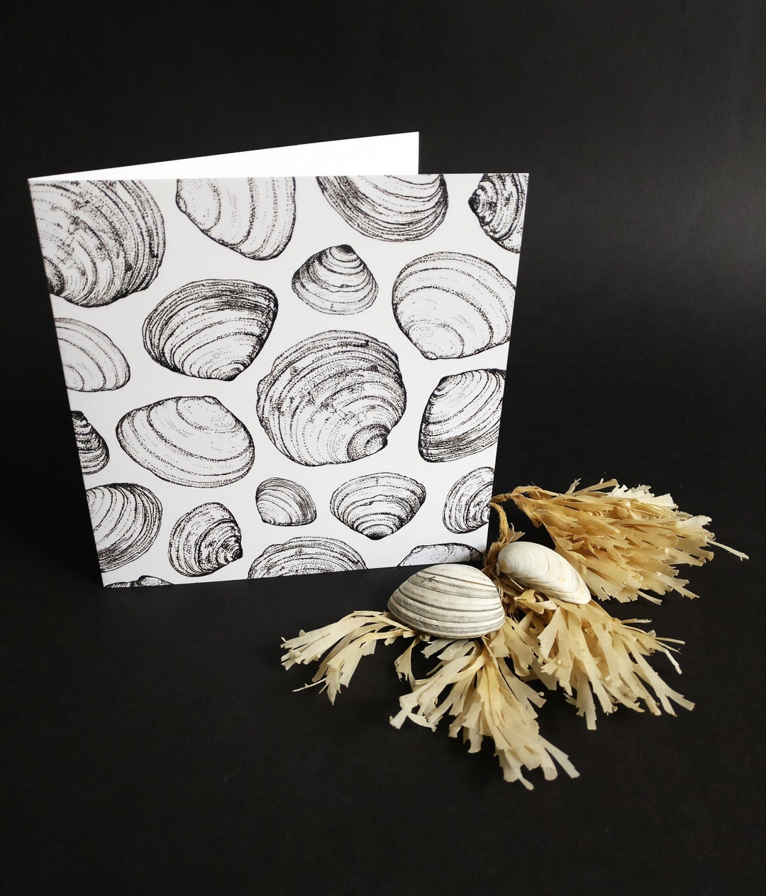 Black Clam Shell Card - Square Greetings Card - Blank Card - Etsy