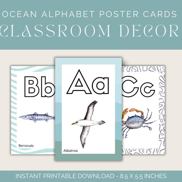 Alphabet Recognition Poster - Etsy