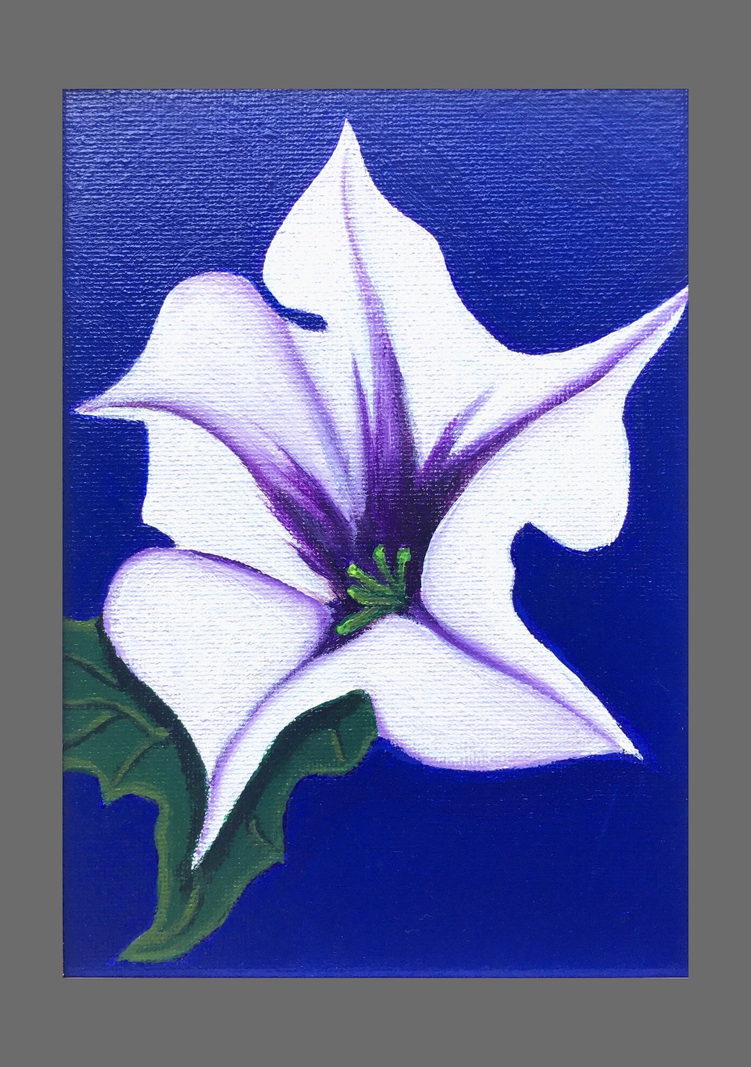 Jimson Weed Flower (devil's Snare) - Etsy